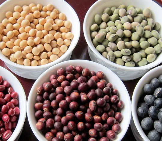 Setsubun - why beans? - Green Shinto