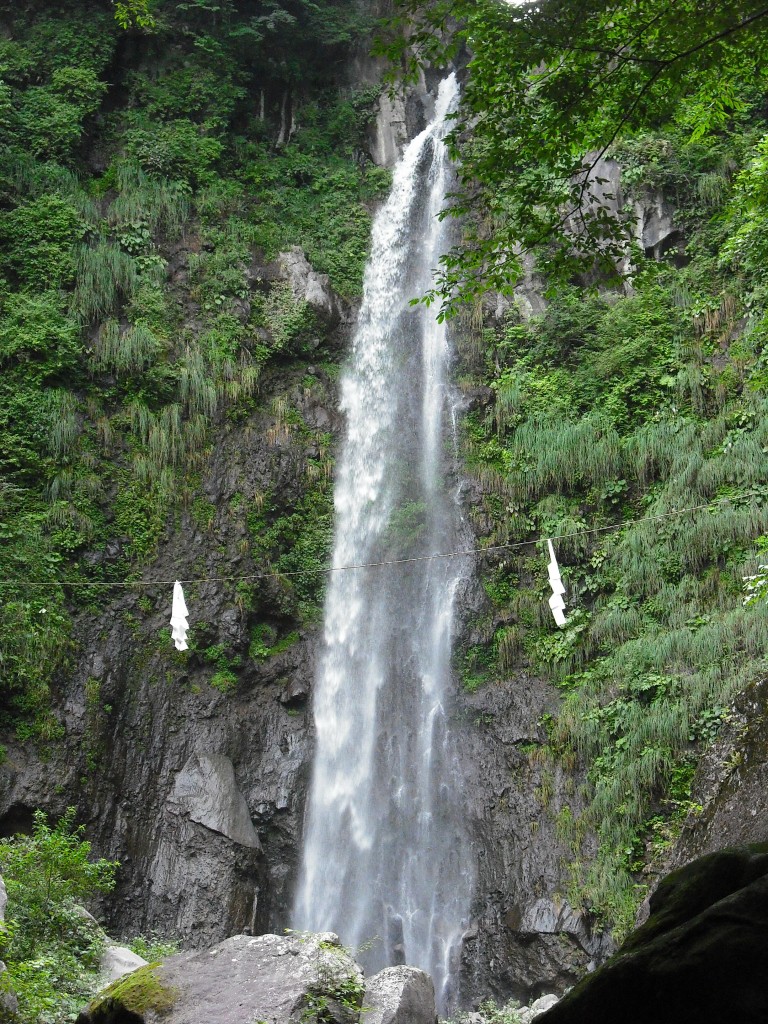 Water - the stuff of life - Green Shinto