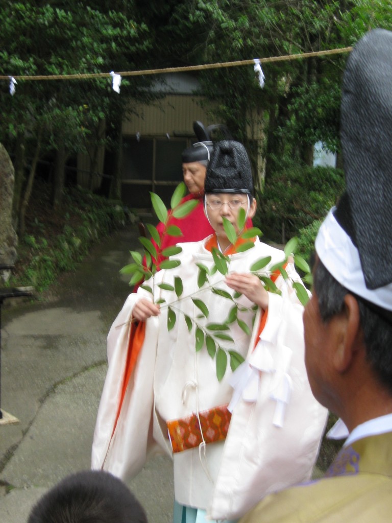 Why sakaki? - Green Shinto