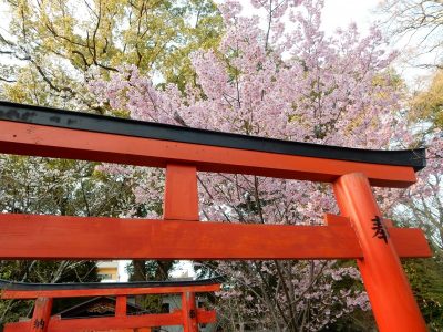 Green Shinto